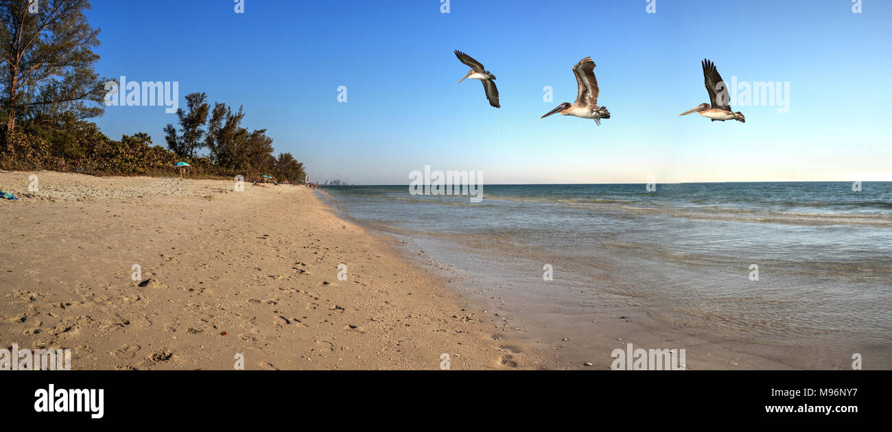 Delnor wiggins pass state park beach hi-res stock photography and ...