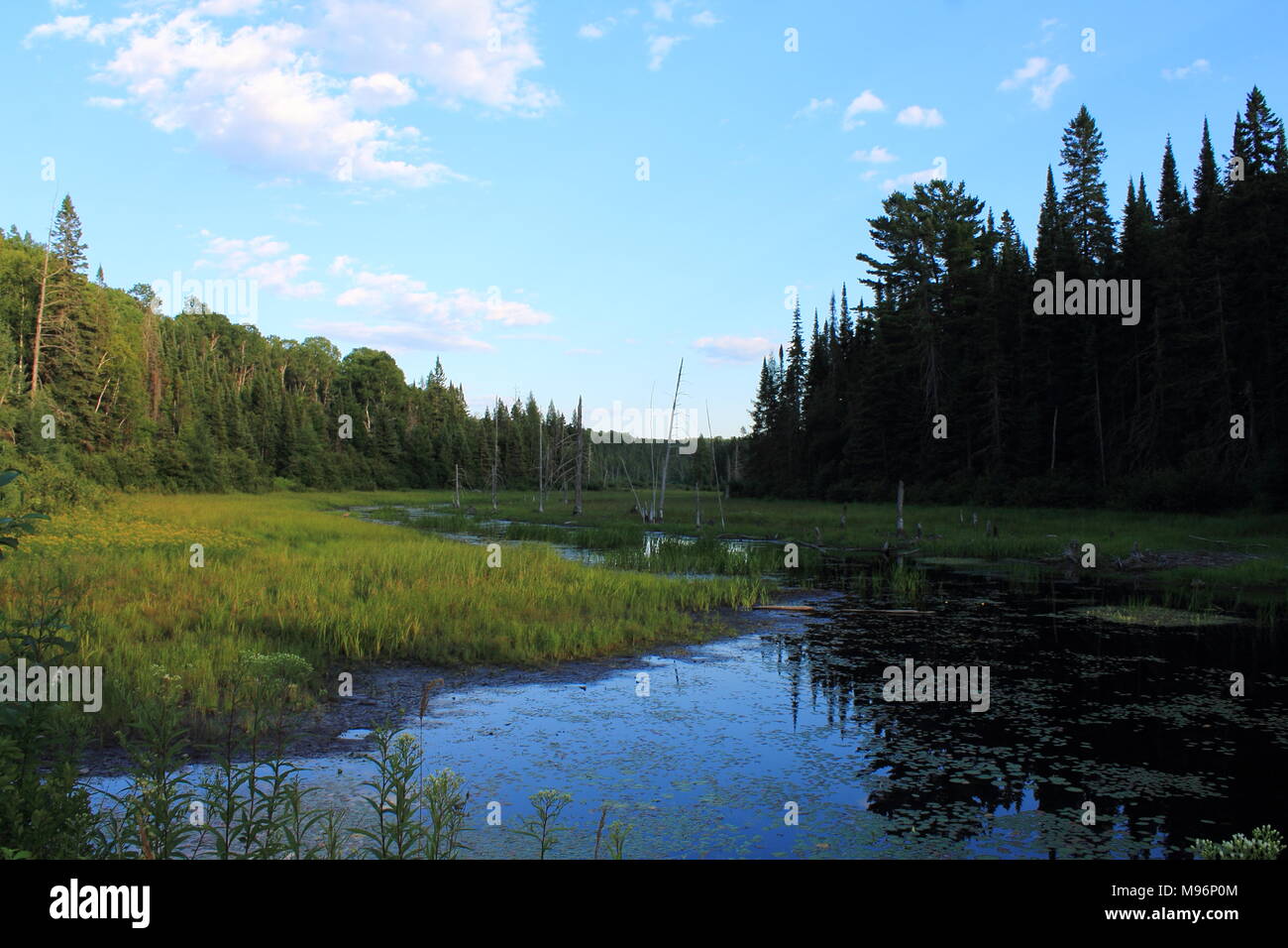 Almaguin hi-res stock photography and images - Alamy