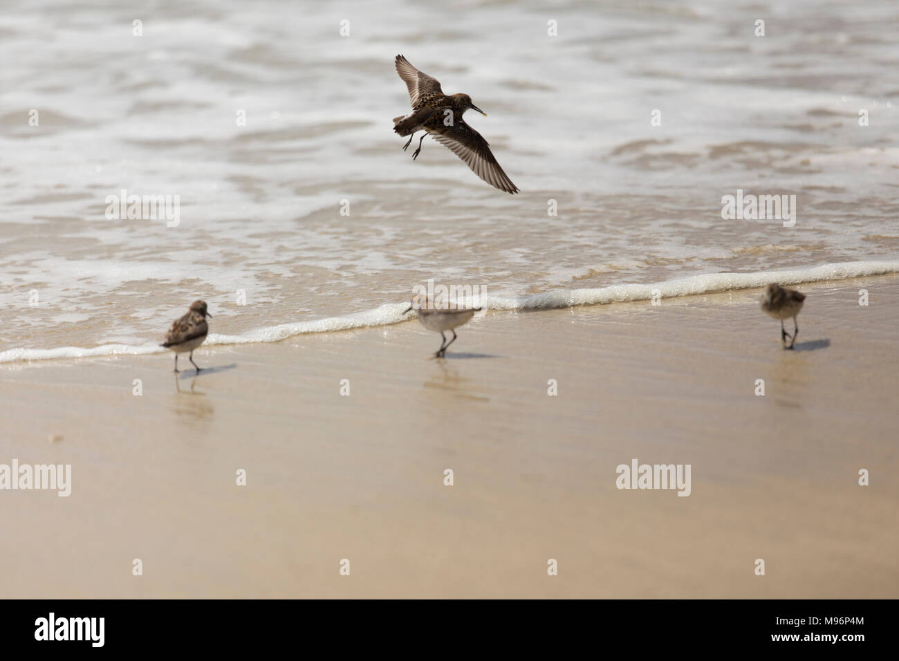 Wavse hi-res stock photography and images - Alamy