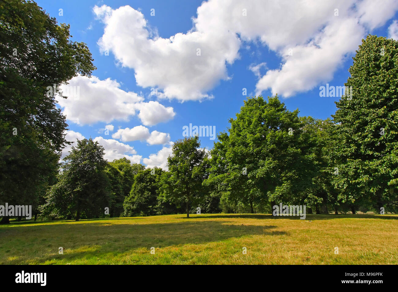 Hyde park meadow hi-res stock photography and images - Alamy