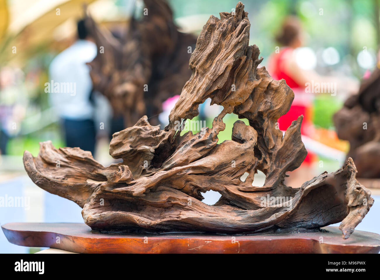 Tree dry wood in various shapes art beautifully exhibited in Congress ...