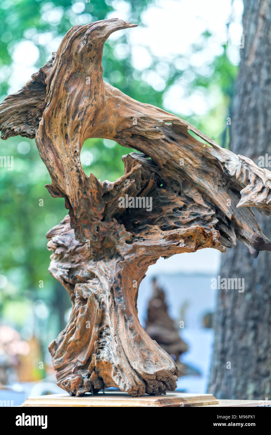 Tree dry wood in various shapes art beautifully exhibited in Congress ...