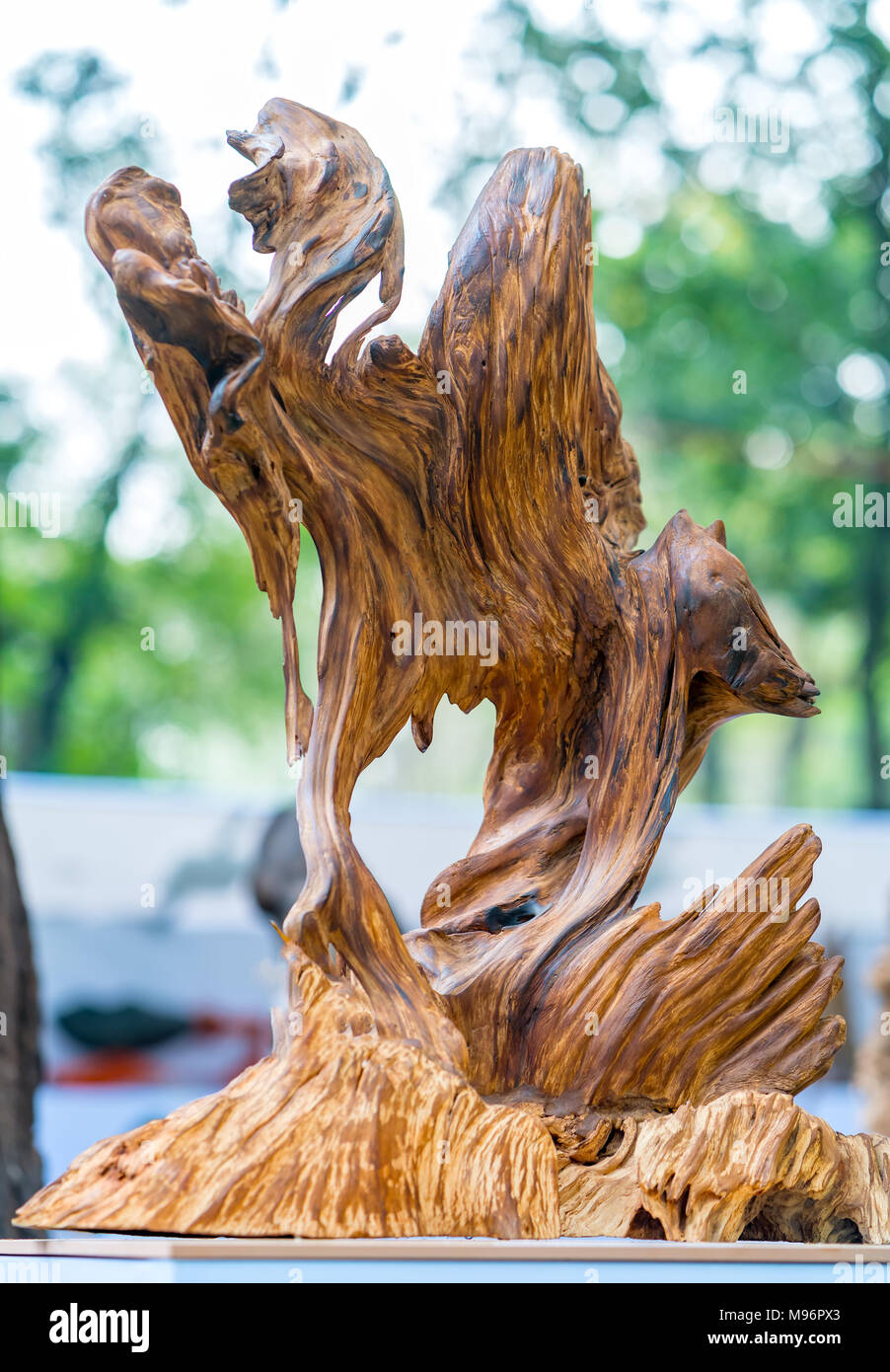 Tree dry wood in various shapes art beautifully exhibited in Congress ...