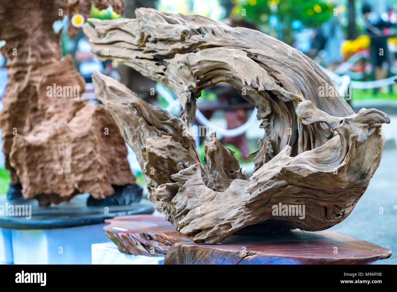 Tree dry wood in various shapes art beautifully exhibited in Congress ...