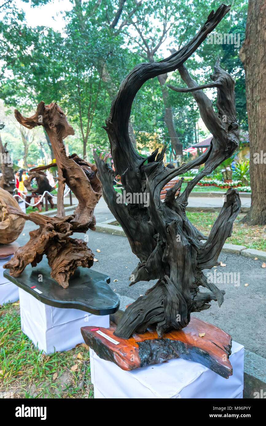 Tree dry wood in various shapes art beautifully exhibited in Congress ...