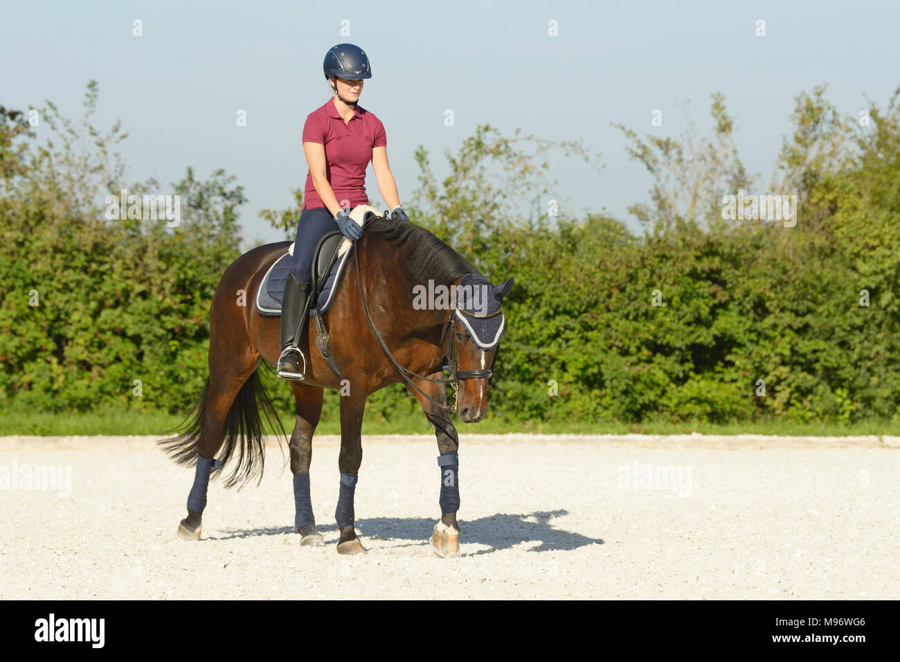 Walking reins hi-res stock photography and images - Alamy