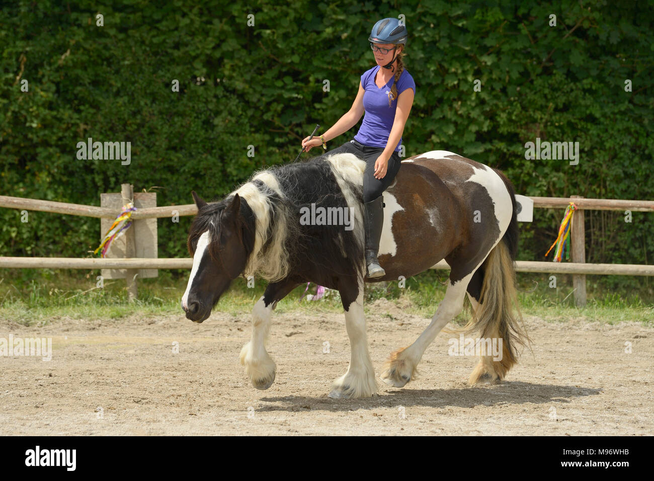 Riding bareback and bridleless on an Irish Cob horse Stock Photo - Alamy