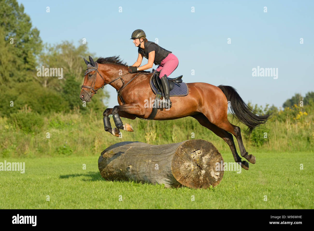 Horse Riding Over A Fence High Resolution Stock Photography and Images ...