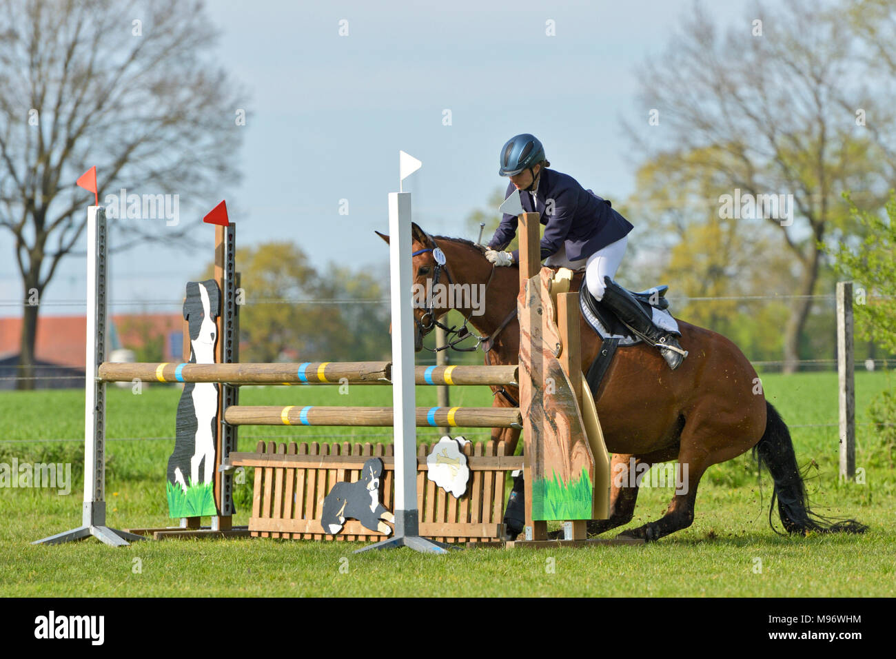 Refusal in a horse jumping competition Stock Photo - Alamy