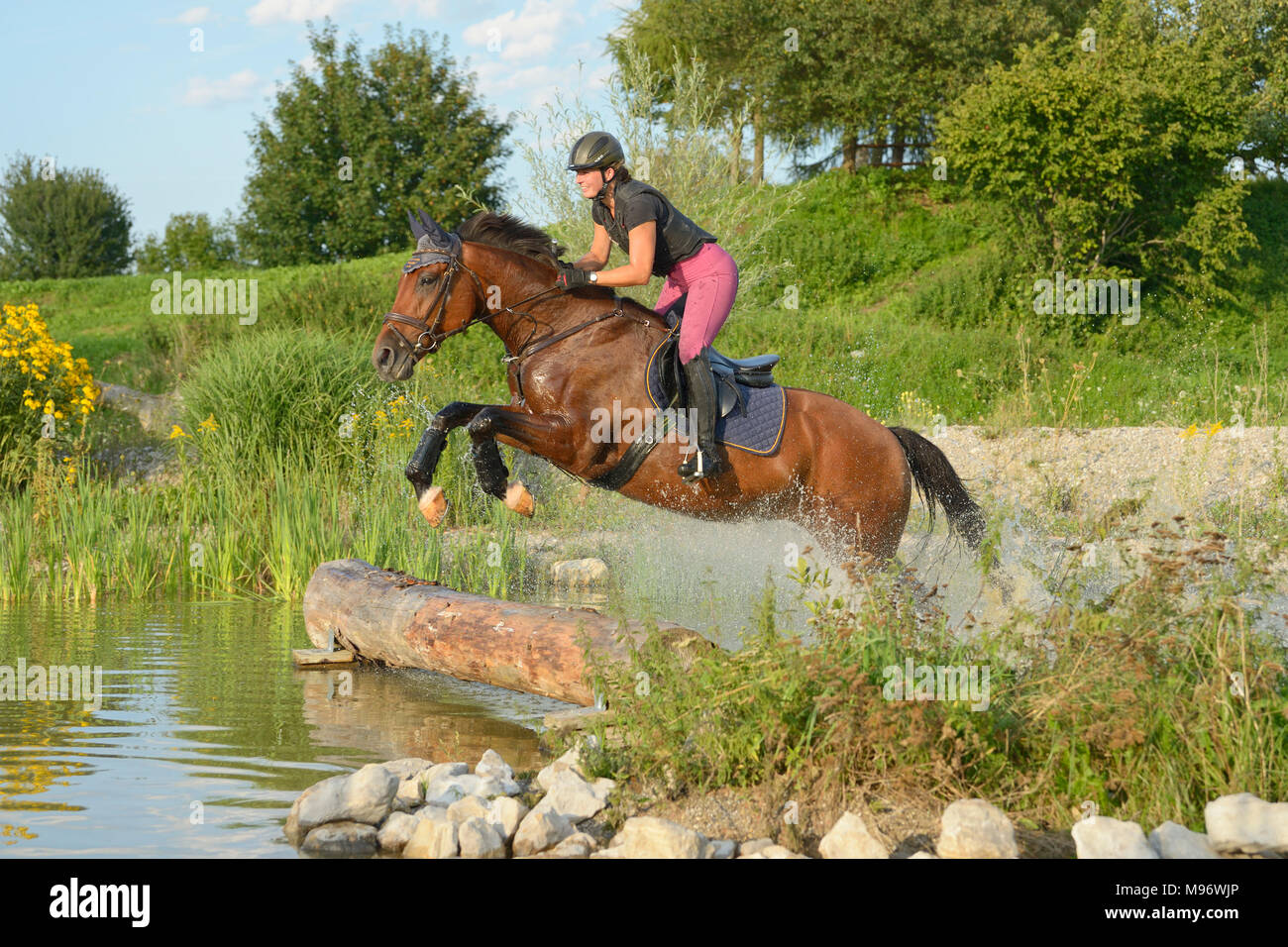 Cross country riding Stock Photo - Alamy