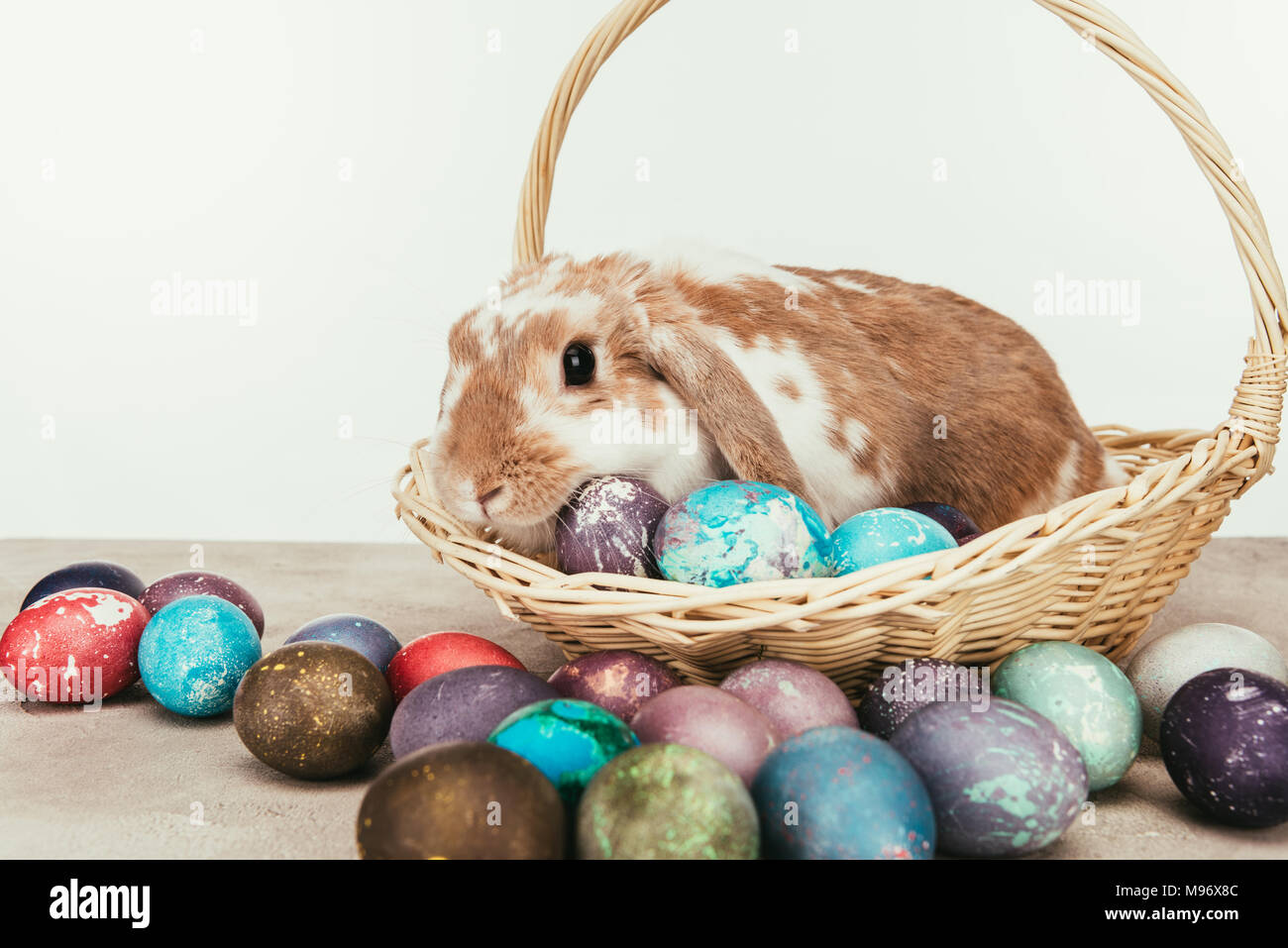 domestic rabbit lying in straw basket with painted easter eggs Stock ...