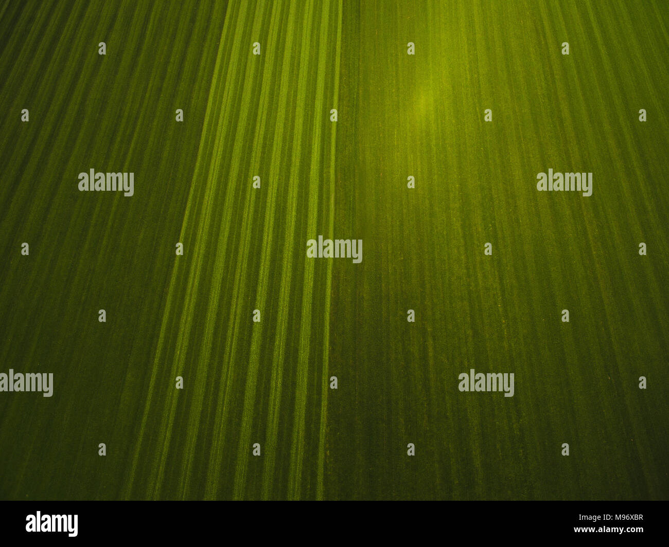 Aerial view of green field texture, Germany Stock Photo - Alamy