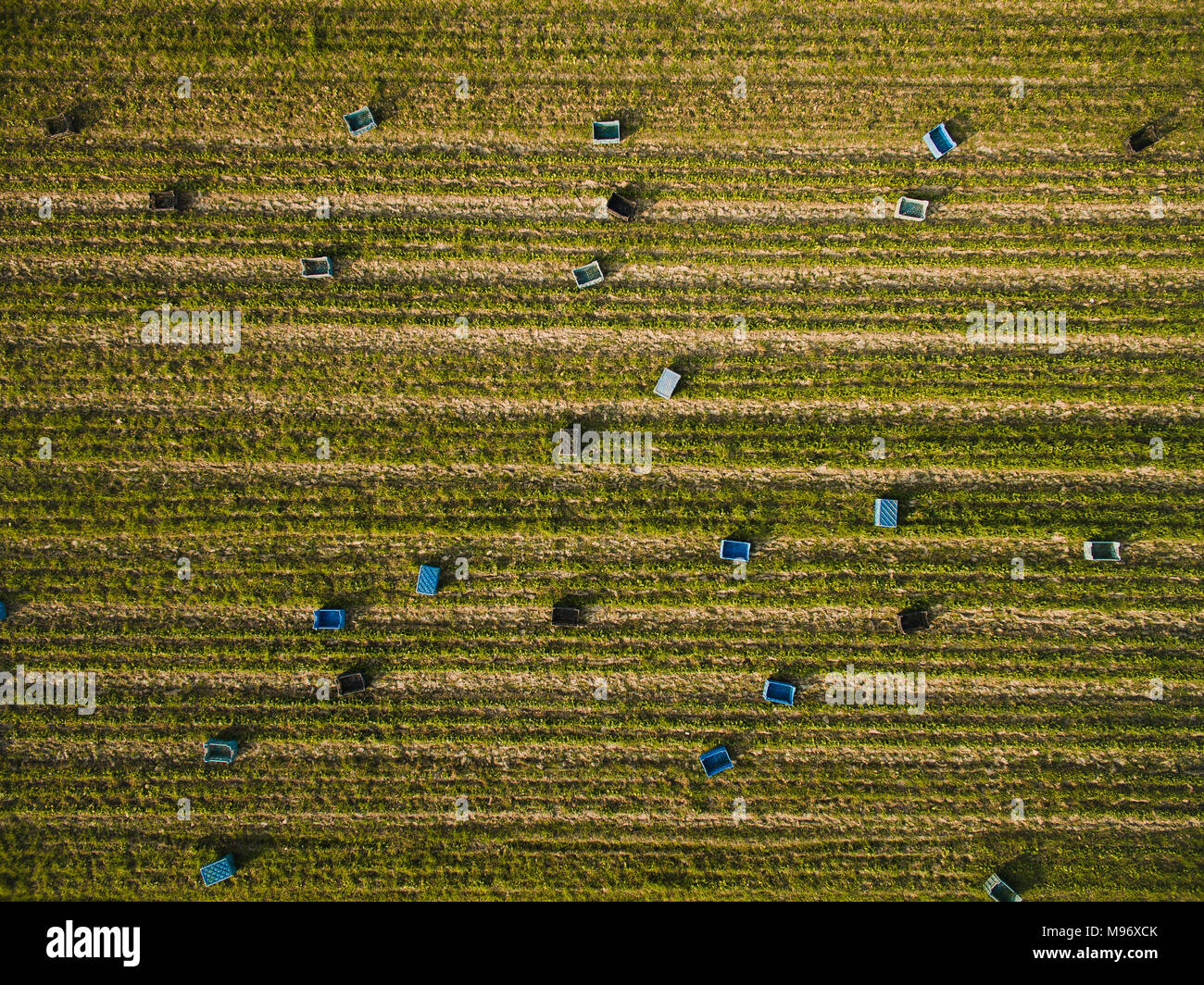 top view of green field with boxes, Germany Stock Photo - Alamy
