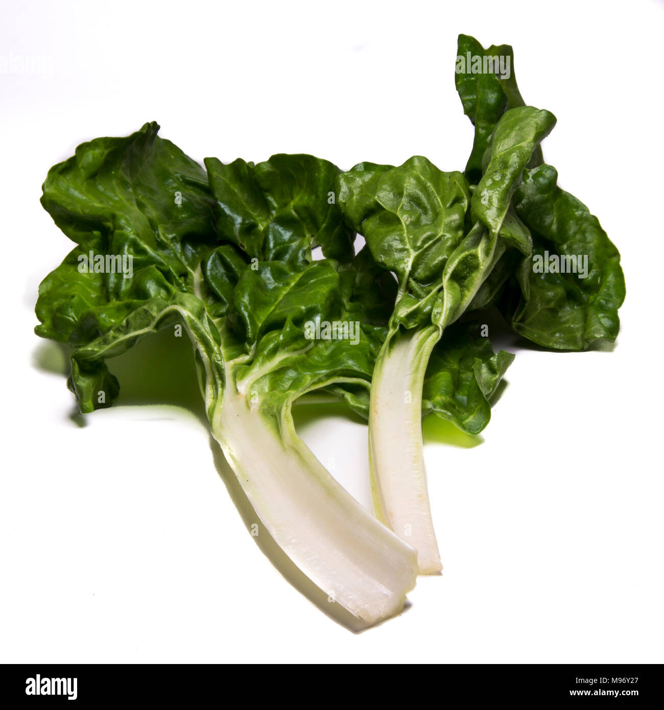 Silver swiss chard, silverbeet leaves on white background Stock Photo ...