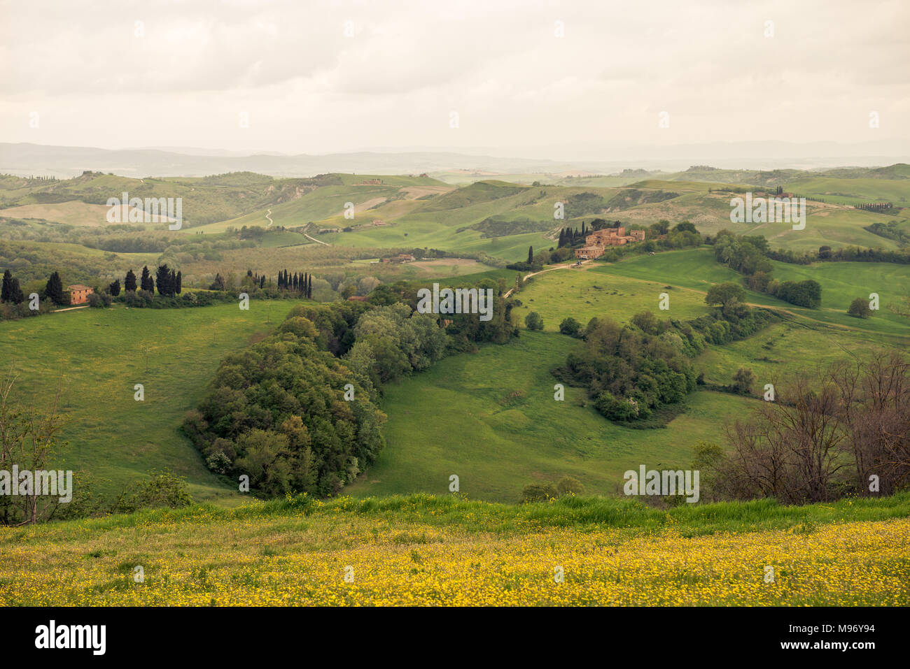 Endeavour field hi-res stock photography and images - Alamy