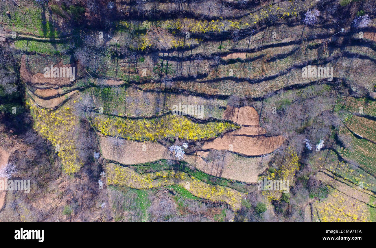 Lushi. 22nd Mar, 2018. Aerial photo taken on March 22, 2018 shows ...