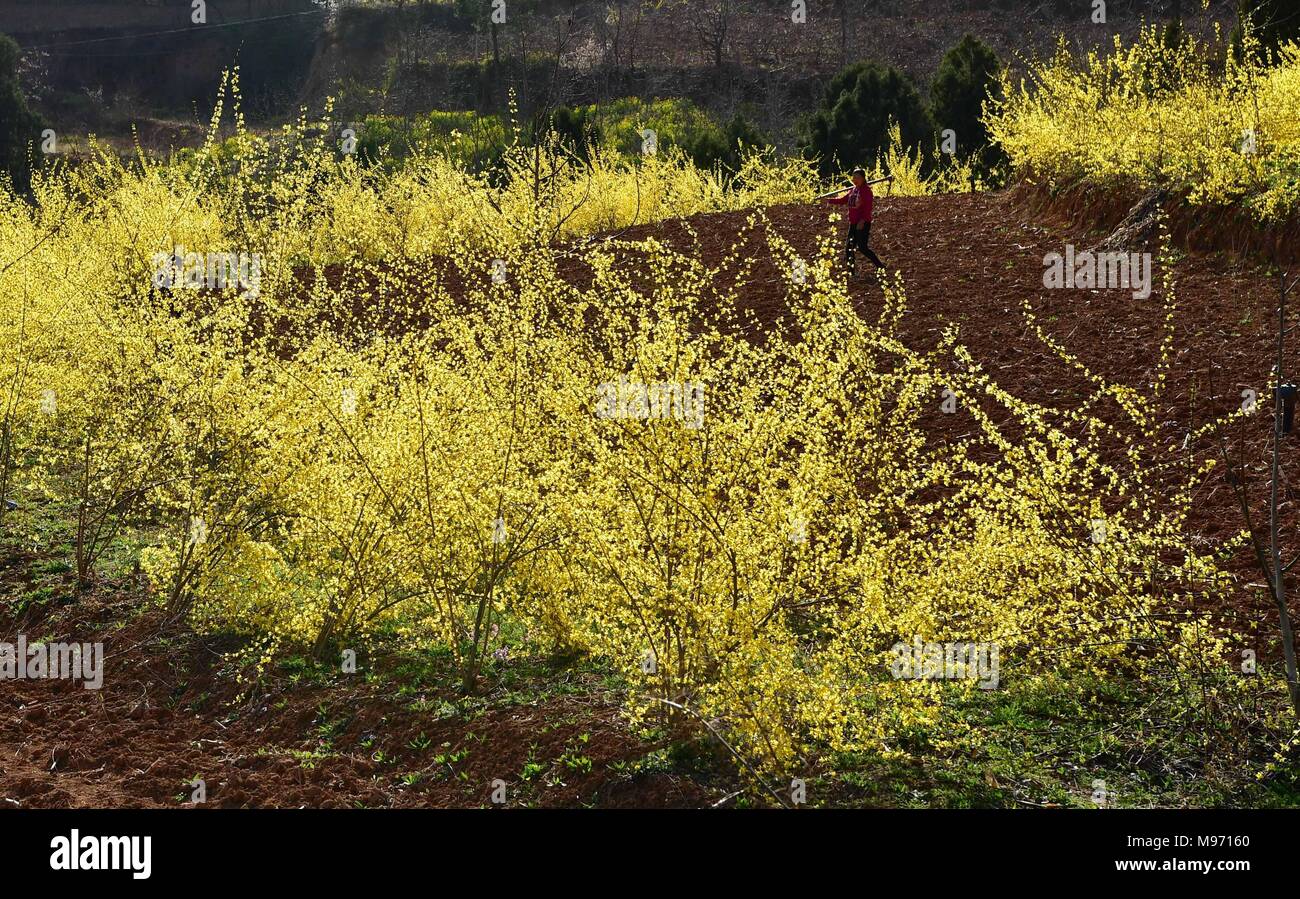 Lushi, China's Henan Province. 22nd Mar, 2018. A farmer works in the ...