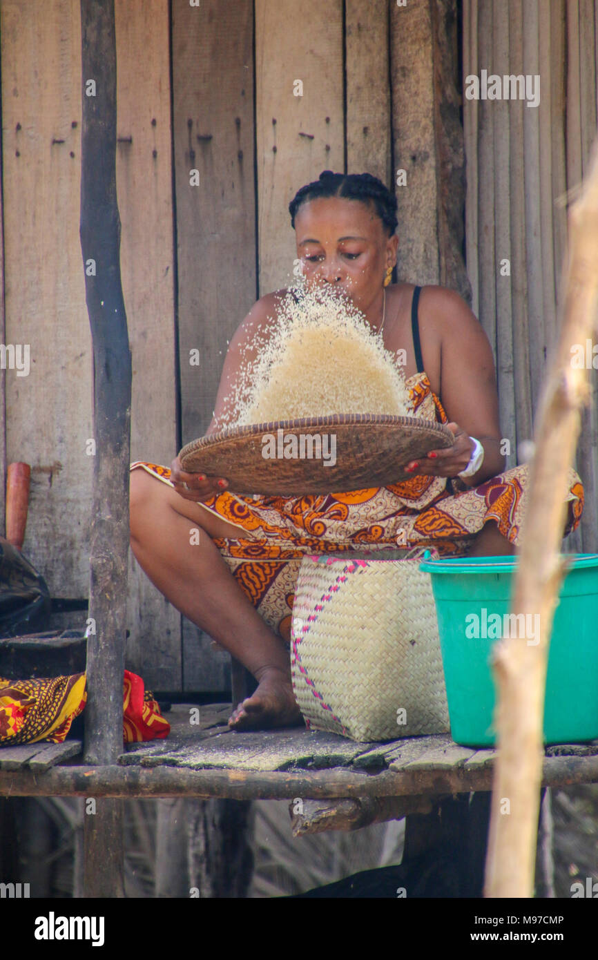 Wheat harvesting Separating the chaff from the straw. Photographed in ...