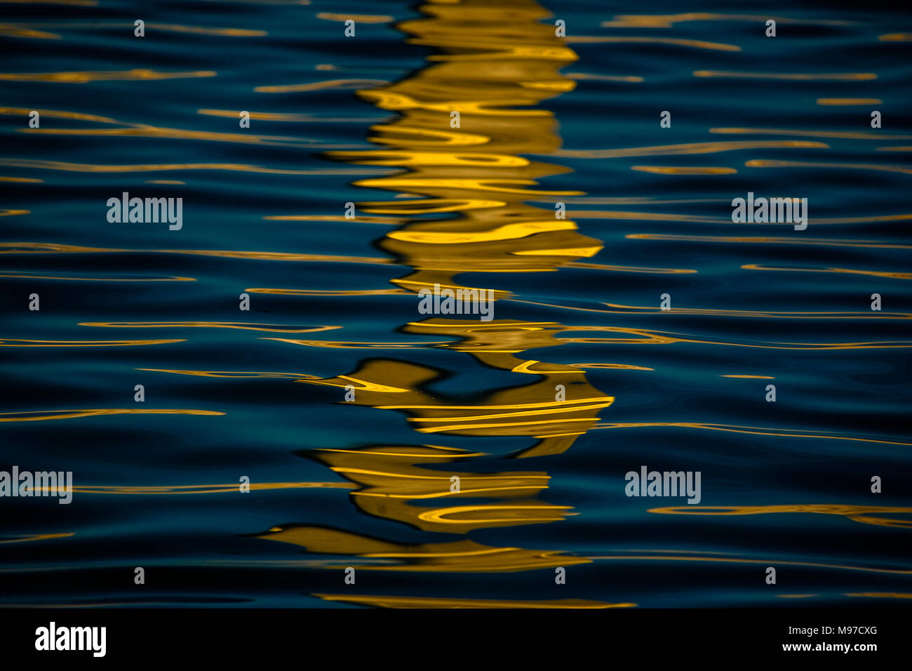 Wave Interference Water