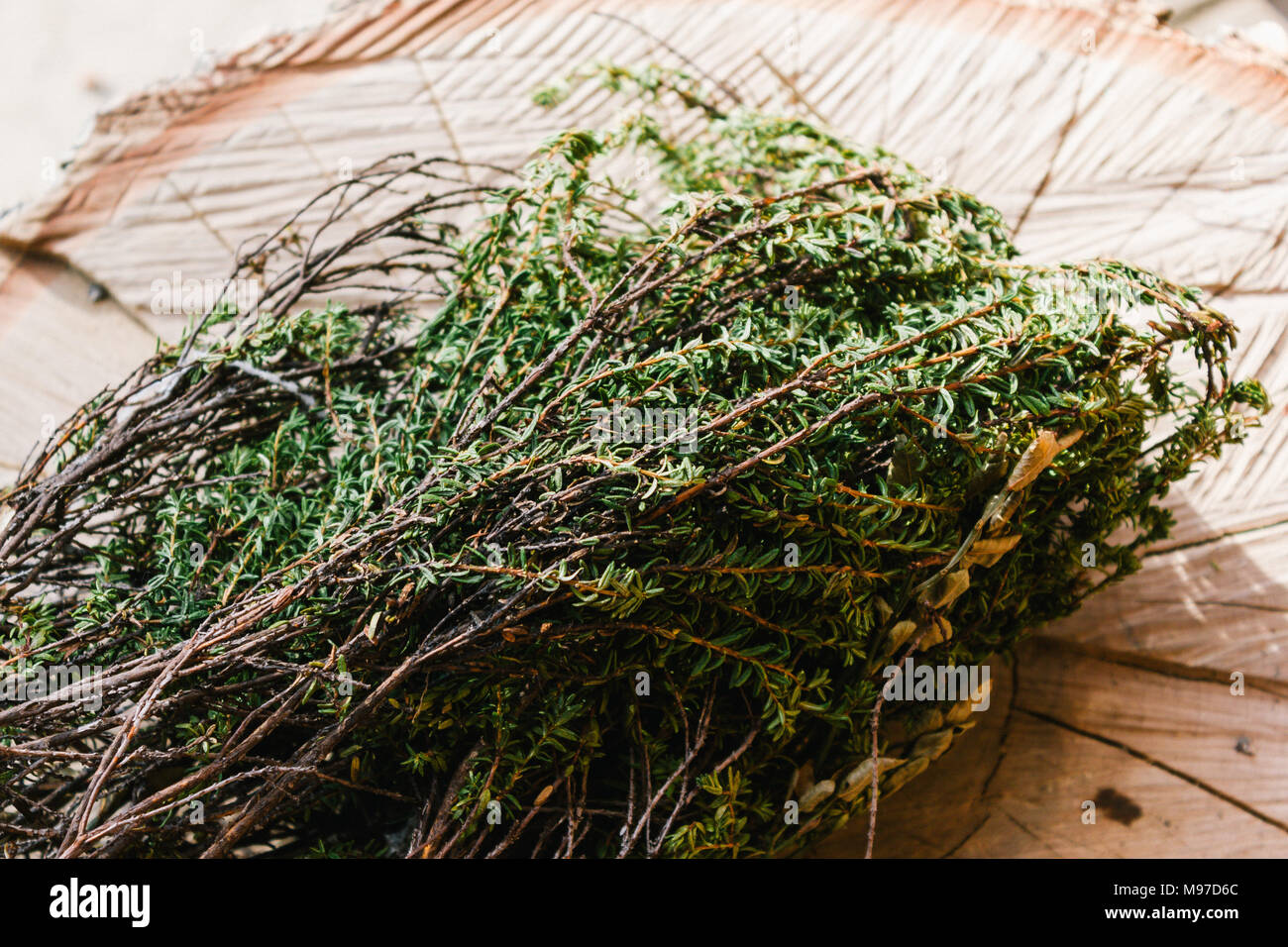 Juniper stump hi-res stock photography and images - Alamy