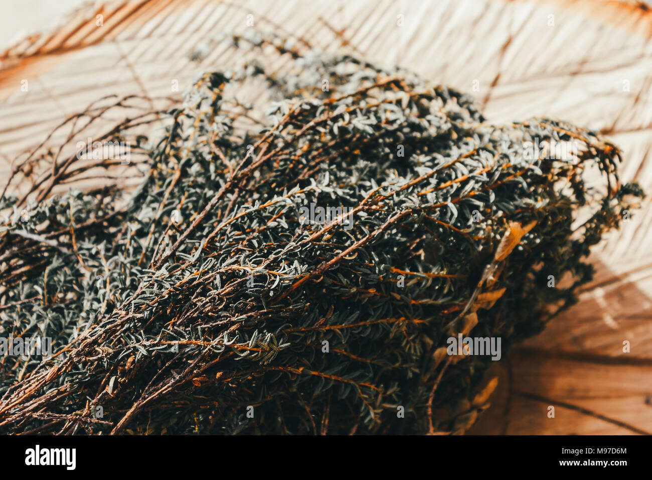Branch of juniper on the stump, cut section of a tree Stock Photo - Alamy