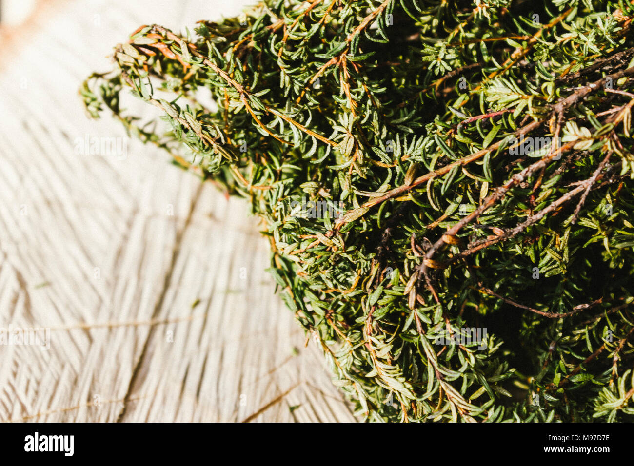 Branch of juniper on the stump, cut section of a tree Stock Photo - Alamy