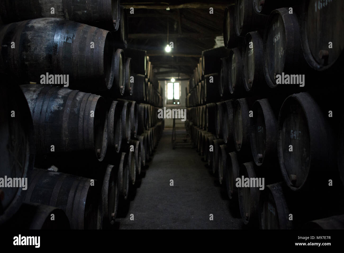 Perspective view of wine cellar Stock Photo - Alamy