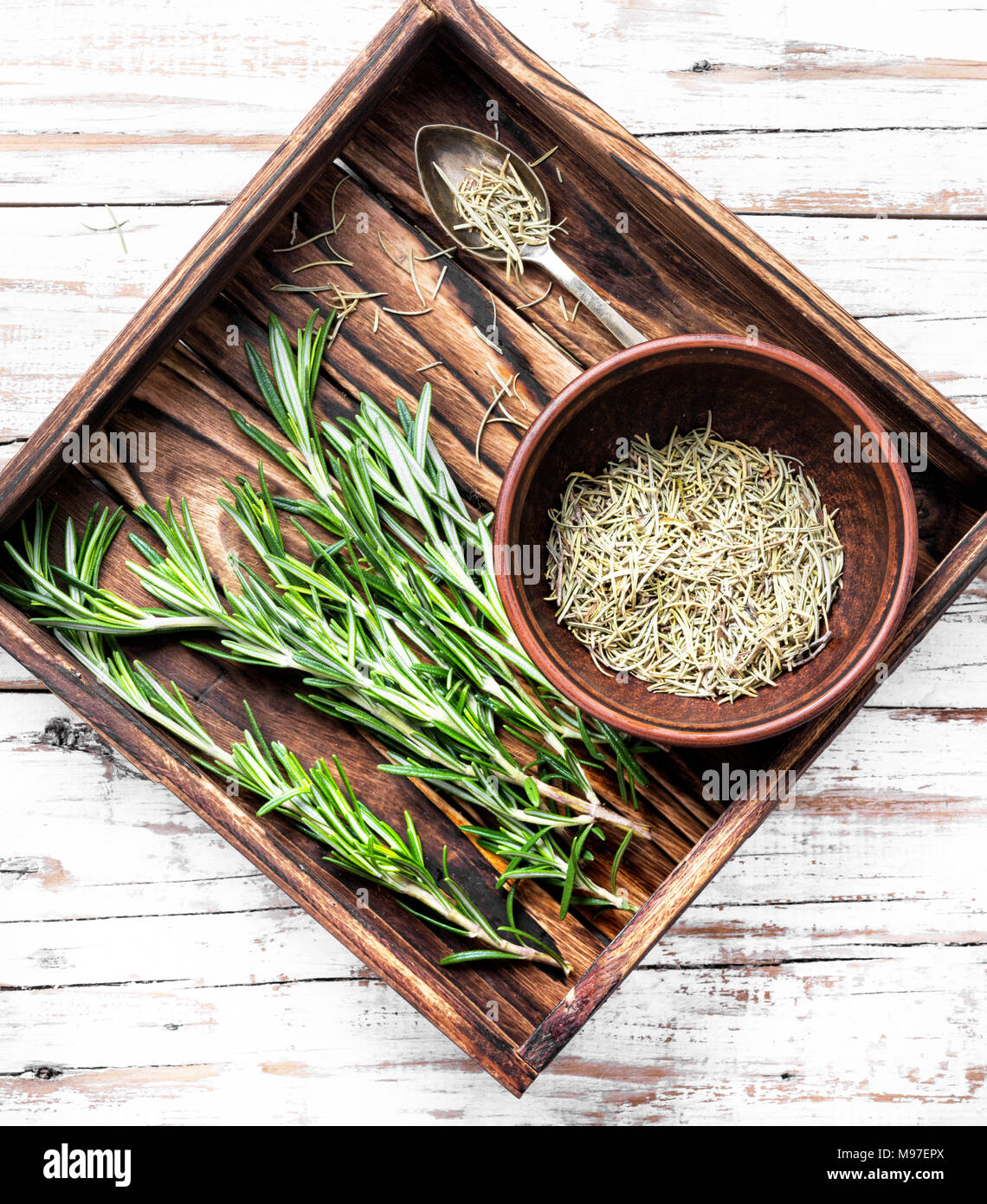 Fresh green sprig of rosemary and dry rosemary Stock Photo - Alamy
