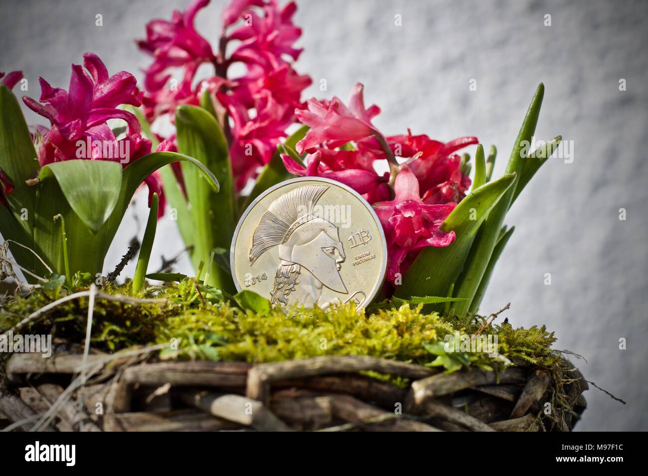 Digital currency physical metal bitcoin coin. Cryptocurrency flower ...