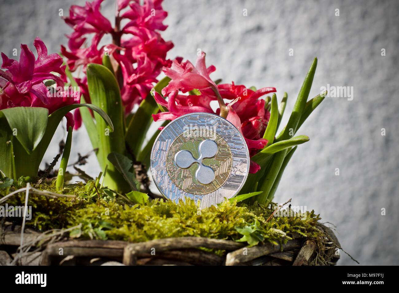 Digital currency physical metal ripple coin. Cryptocurrency flower ...