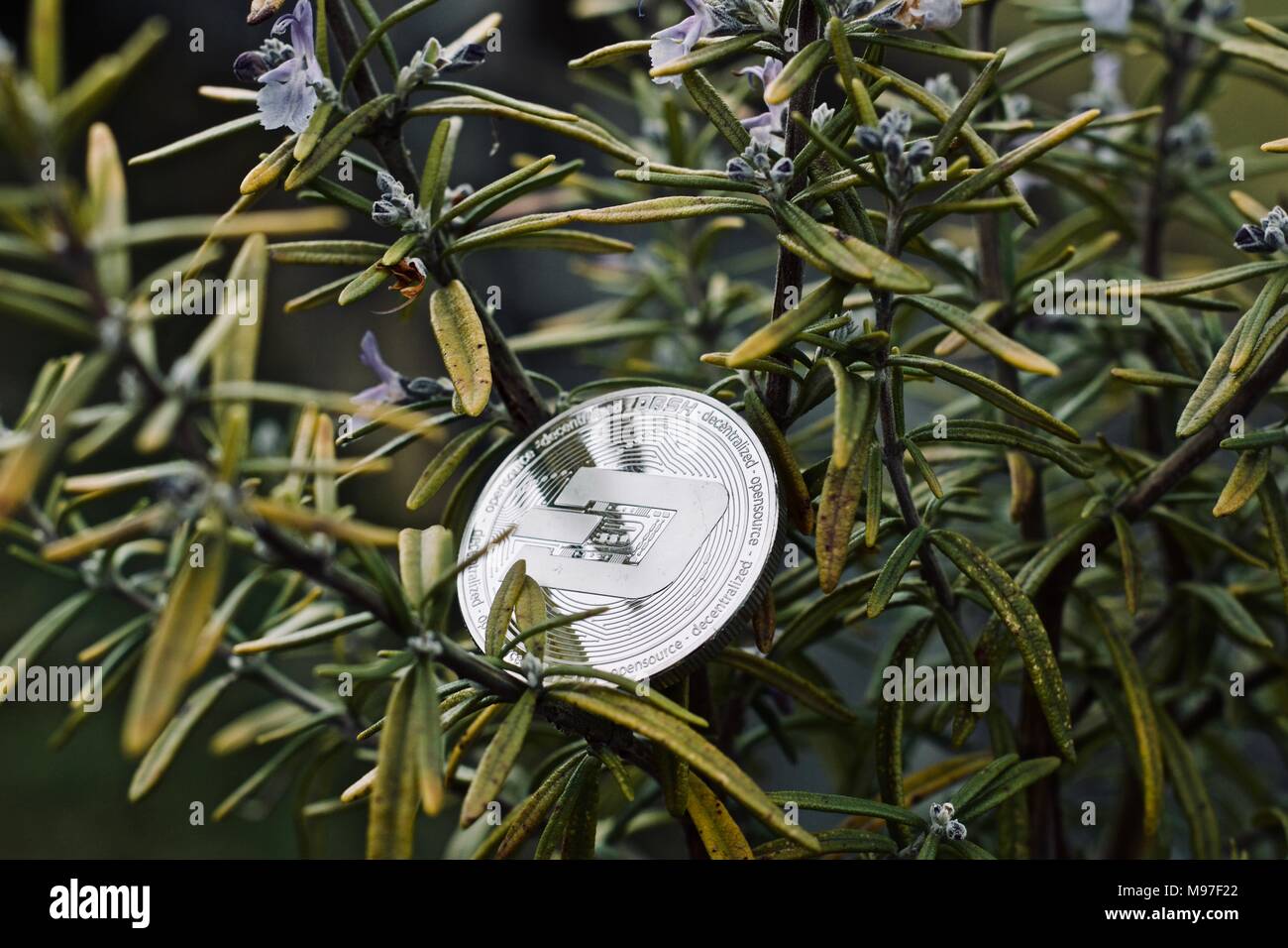 Digital currency physical metal silver dashcoin coin. Cryptocurrency ...