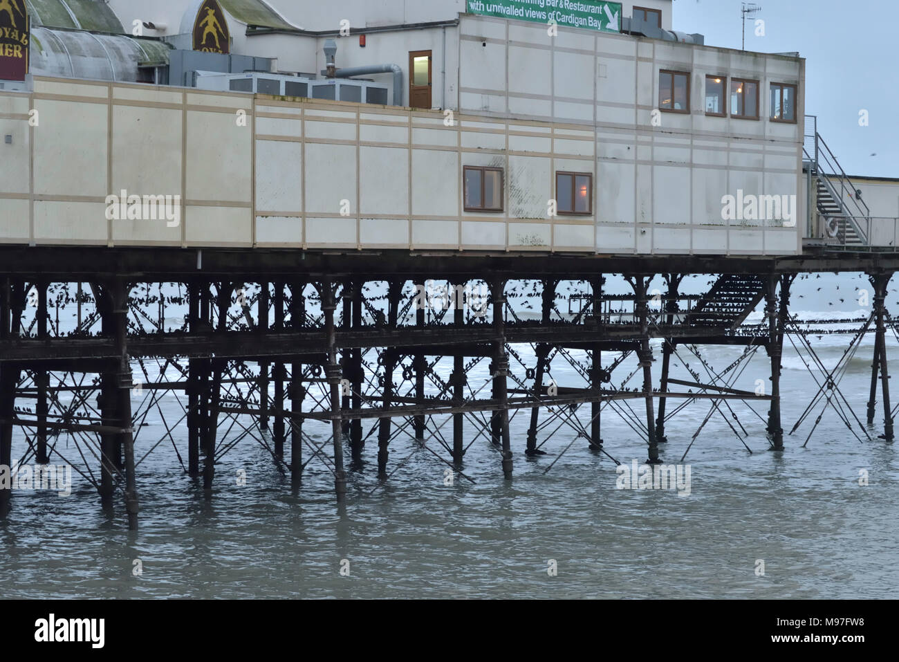 Starlings Roosting Under Aberystwyth Pier Stock Photo - Alamy