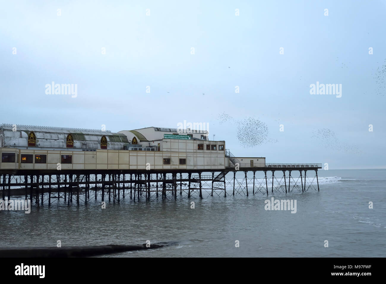 Aberystwyth pier starlings dusk hi-res stock photography and images - Alamy