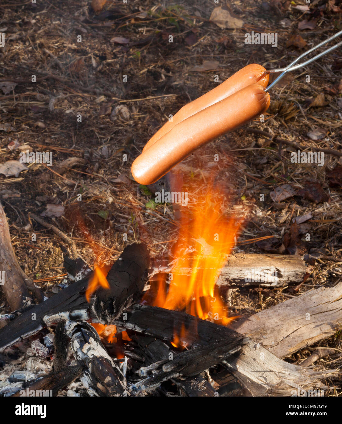 Cooking hot dogs over a campfire hi-res stock photography and images ...