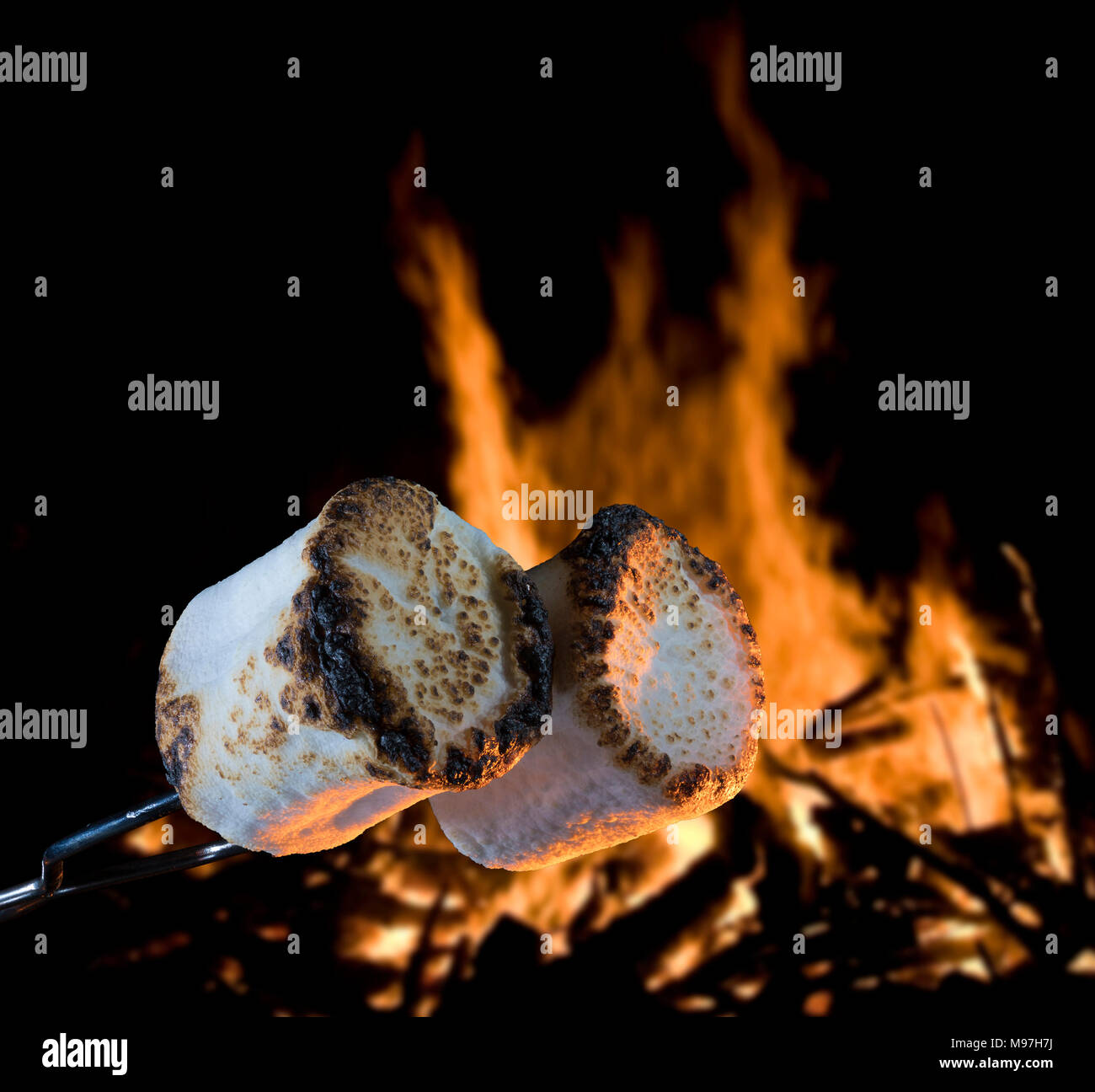 Two marshmallows being roasted over a campfire to make smores Stock ...