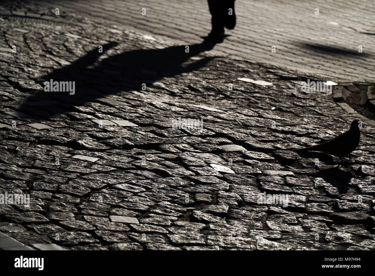 Human bird hi-res stock photography and images - Alamy