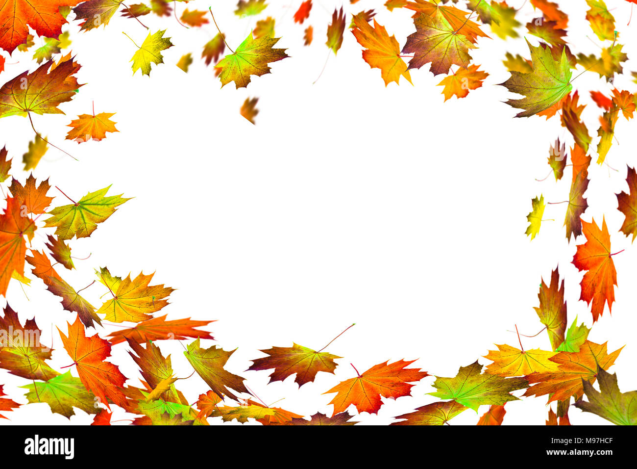 fall leaves in the wind on white background Stock Photo - Alamy