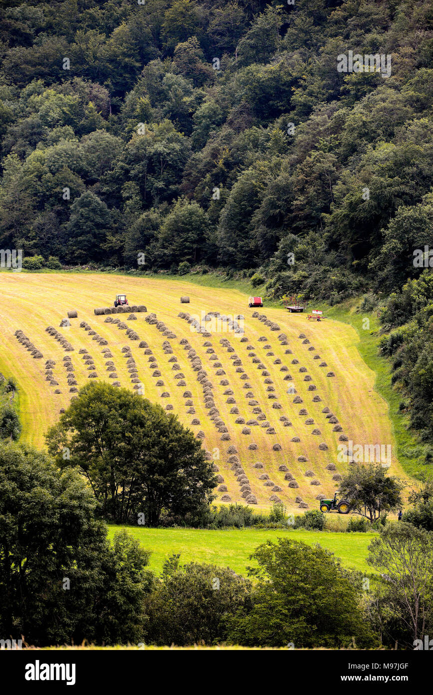Flatirons mountain summer hi-res stock photography and images - Alamy