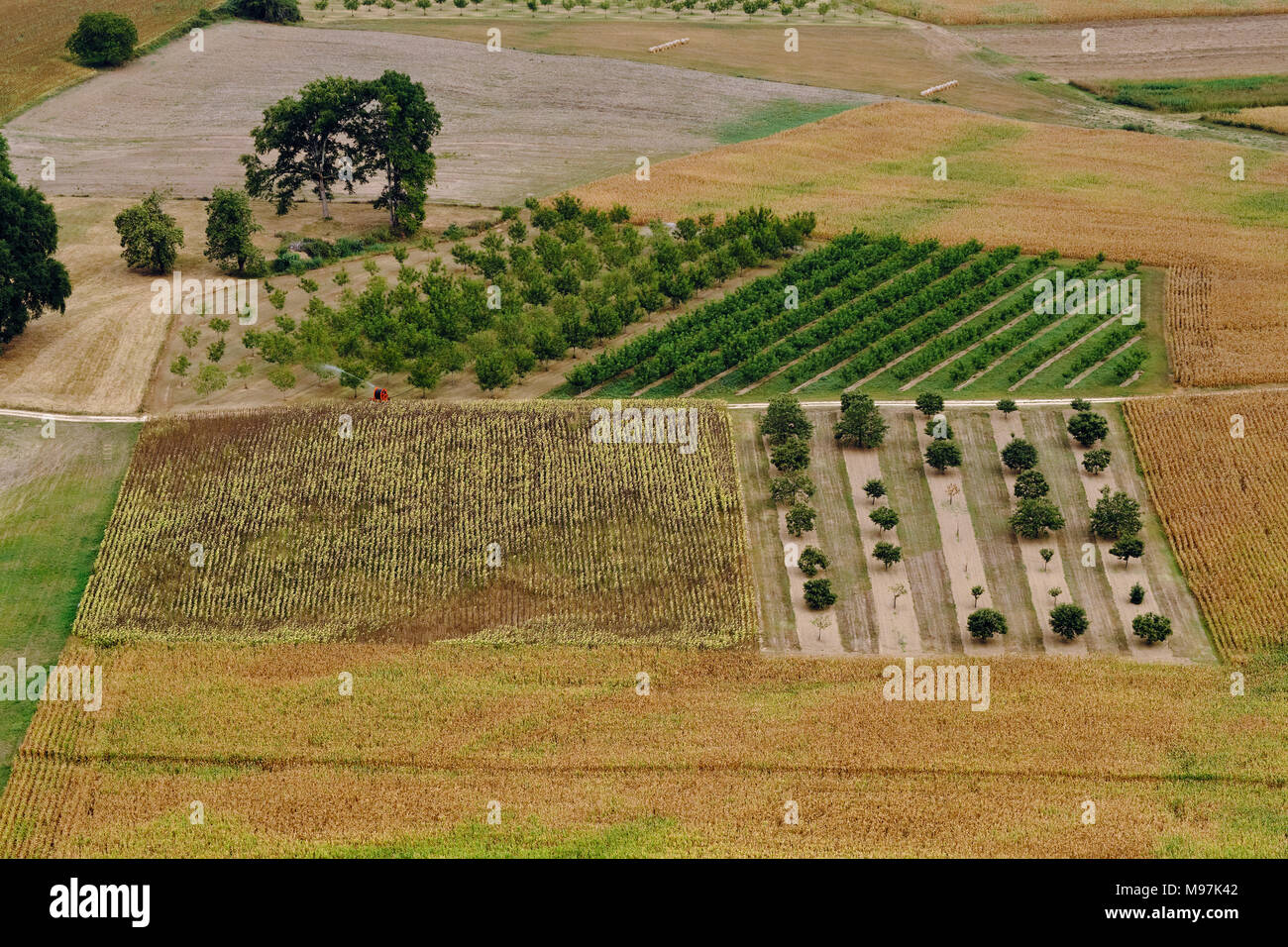 Various crops hi-res stock photography and images - Alamy