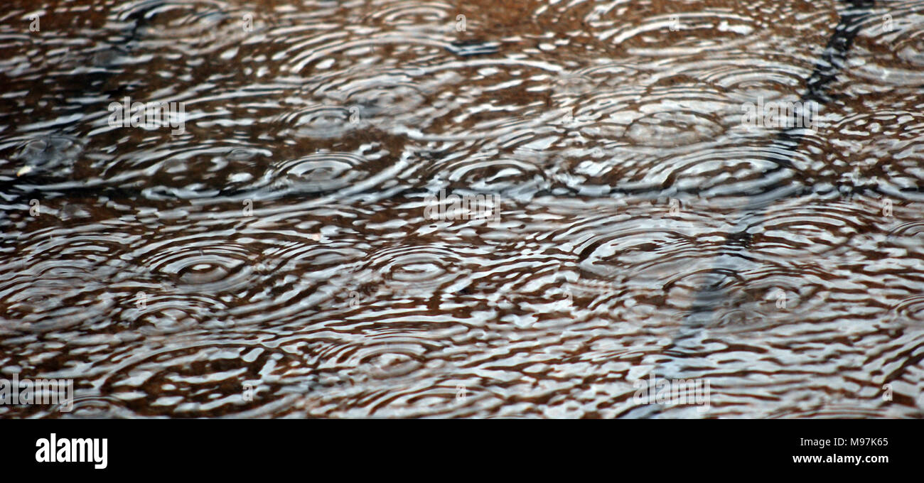 Picture of a Raindrops. Weather forecast concept Stock Photo - Alamy