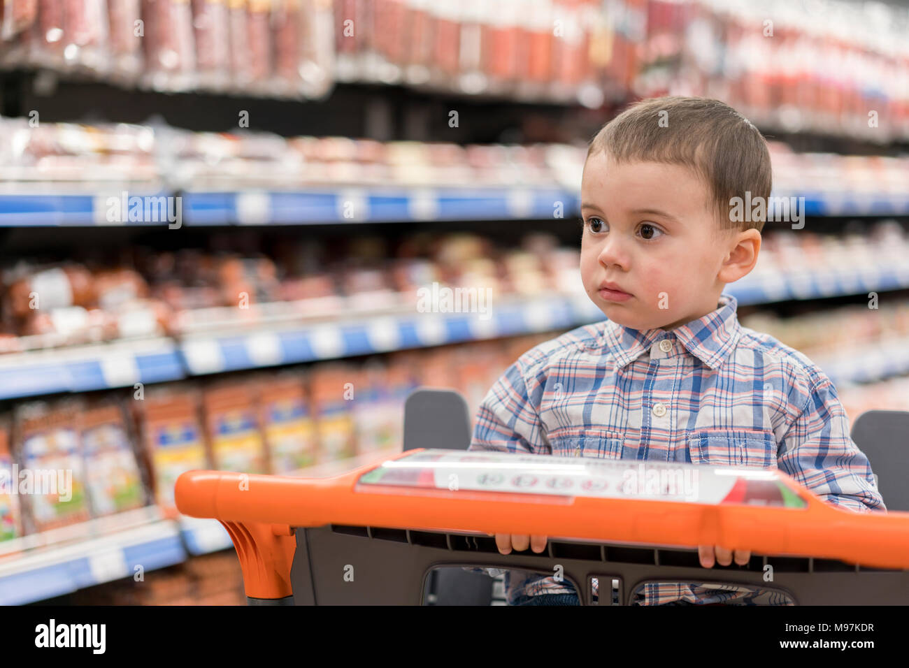 A cute boy dressed in a plaid shirt in a supermarket in a trolley ...
