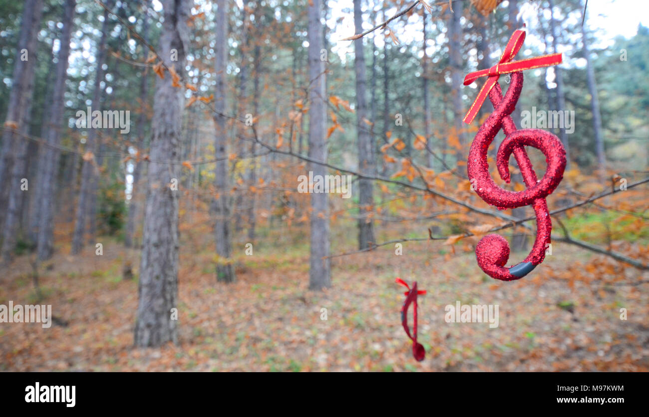 Piano in the forest hi-res stock photography and images - Alamy