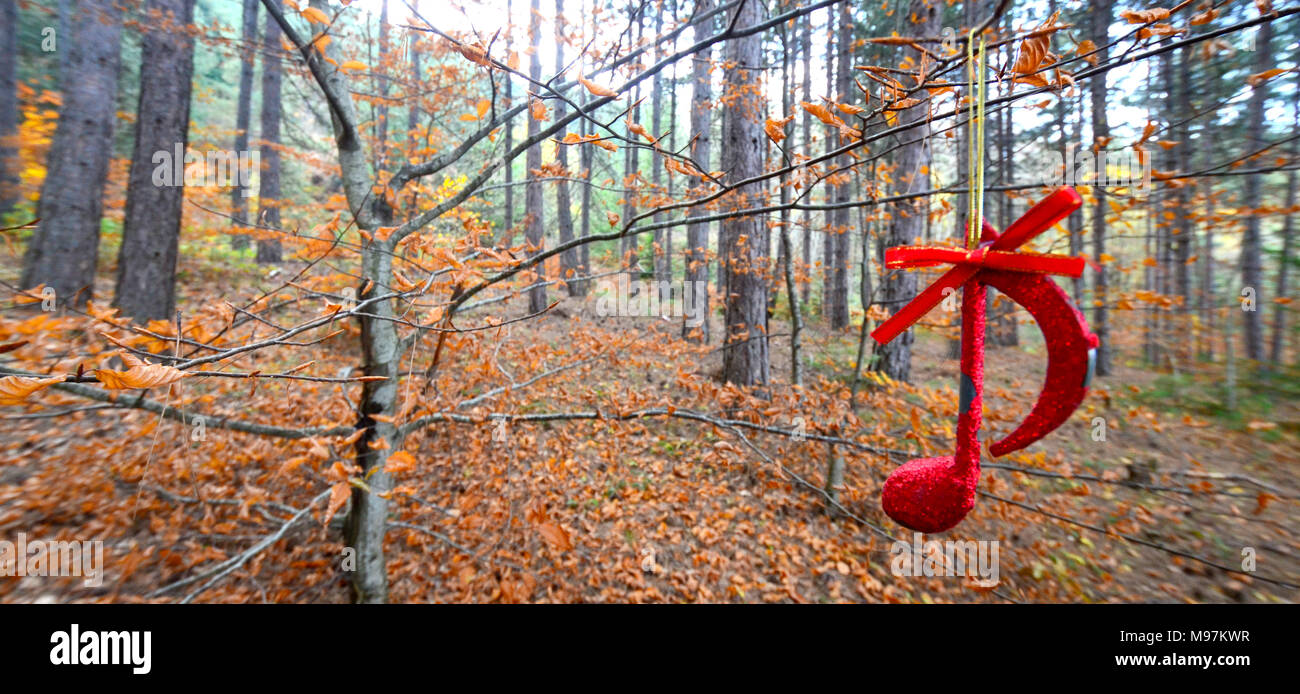 Black piano in the forest hi-res stock photography and images - Alamy