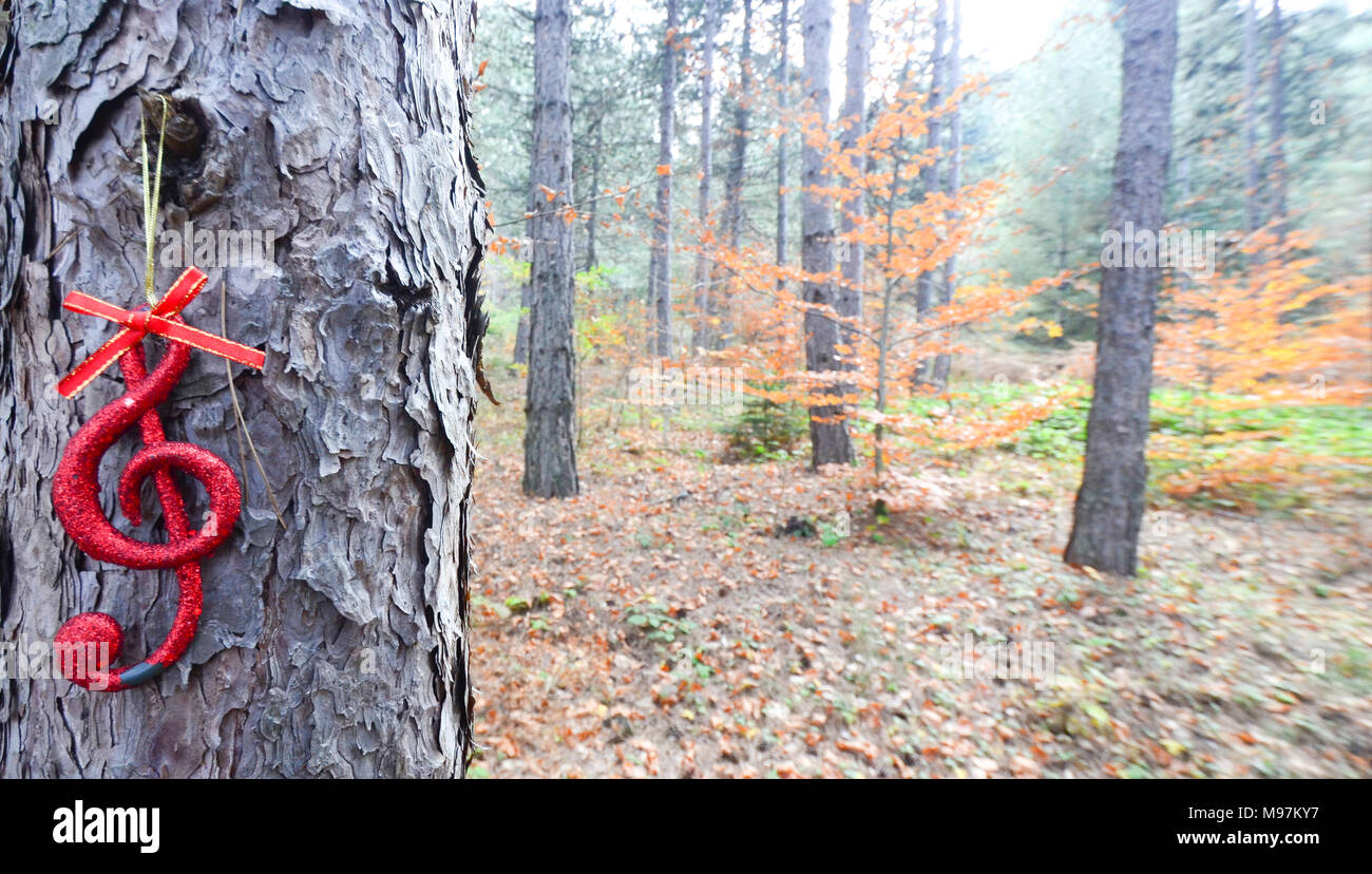 Picture of a christmas music note in an autumn forest Stock Photo - Alamy