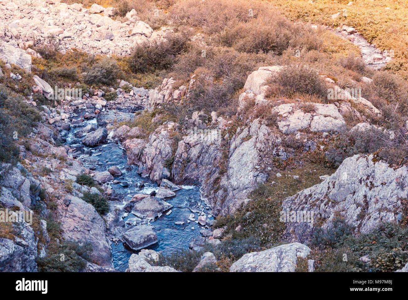 Fast mountain river in rapid flow in the green forest Stock Photo - Alamy
