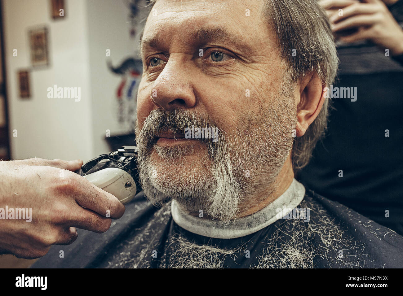 Close-up side view portrait of handsome senior bearded caucasian man ...