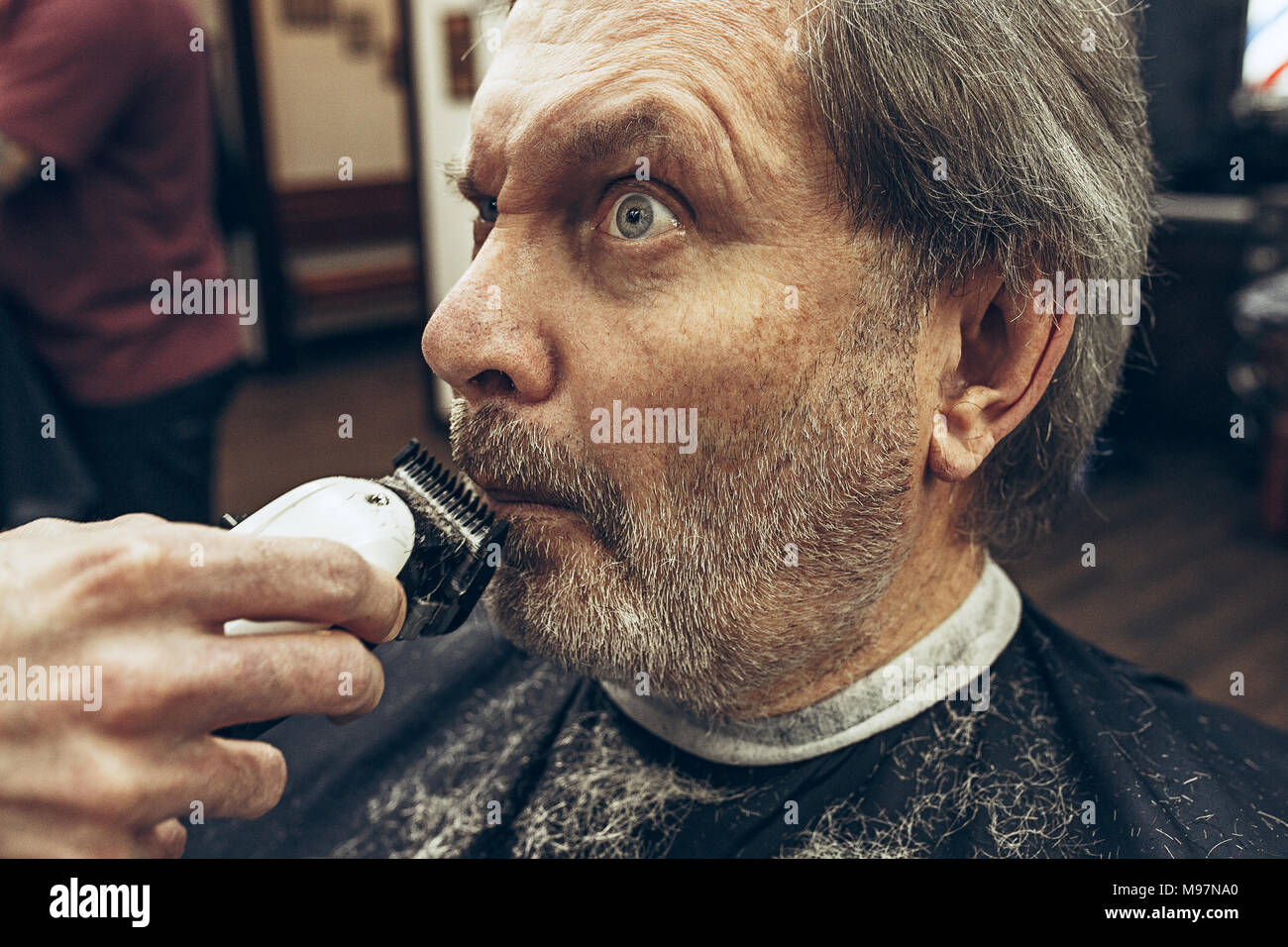 Close-up side view portrait of handsome senior bearded caucasian man ...