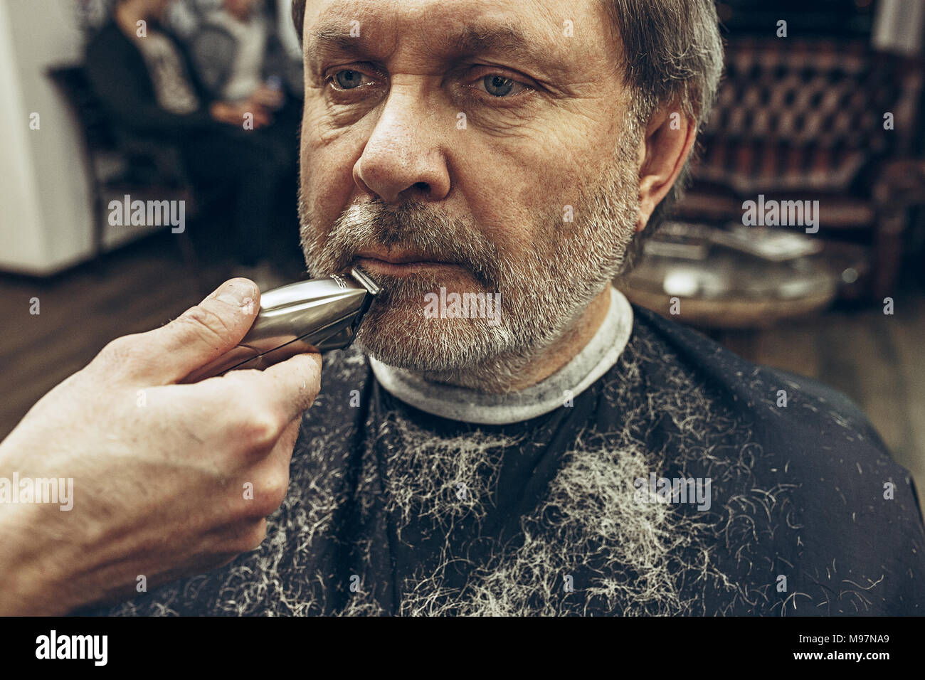 Close-up side view portrait of handsome senior bearded caucasian man ...
