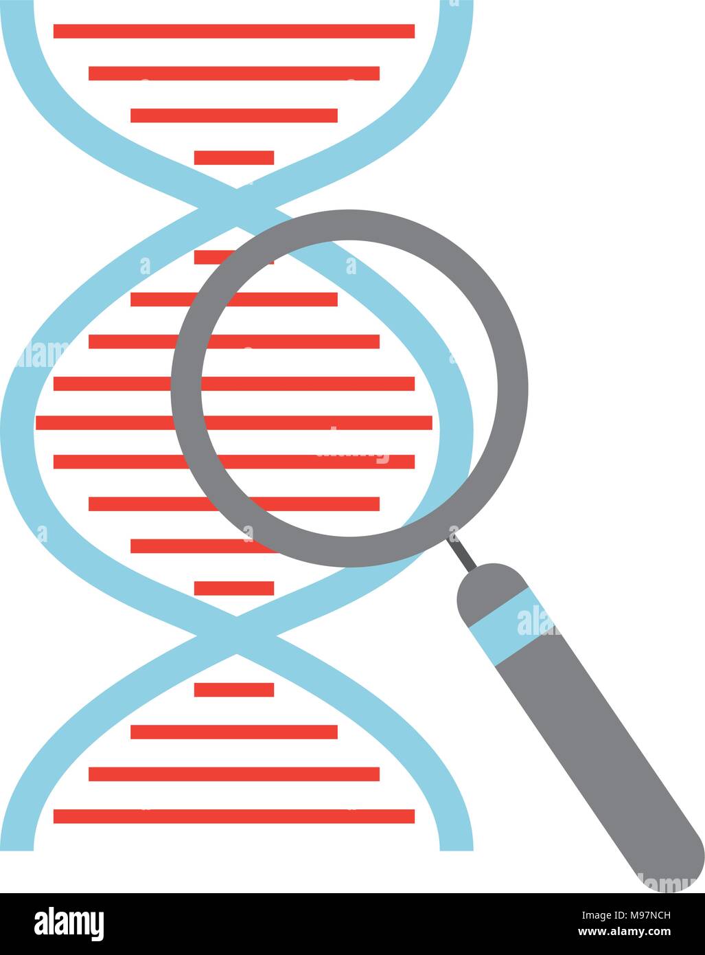 Dna Magnifying High Resolution Stock Photography and Images - Alamy