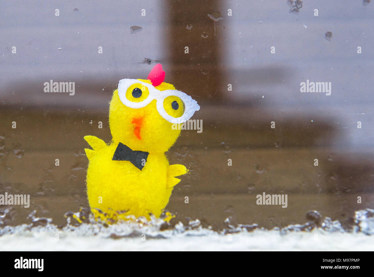 Dicky hi-res stock photography and images - Alamy